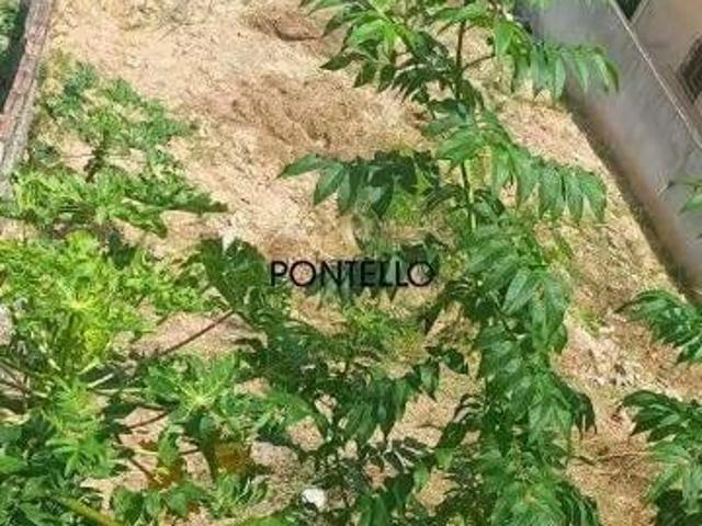 Lote Plano à Venda no Bairro Nova Esperança – Excelente Oportunidade para Morar ou Investir!