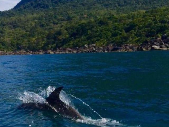 Lote plano a venda Pereque Ilhabela SP