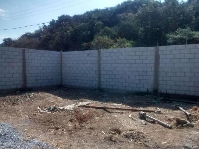 lote plano com 500