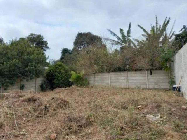 Lote Plano e Murado de 15x50m no Atuba Pronto para Construir