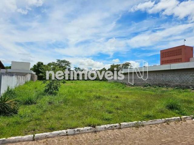 Lote plano regularizado