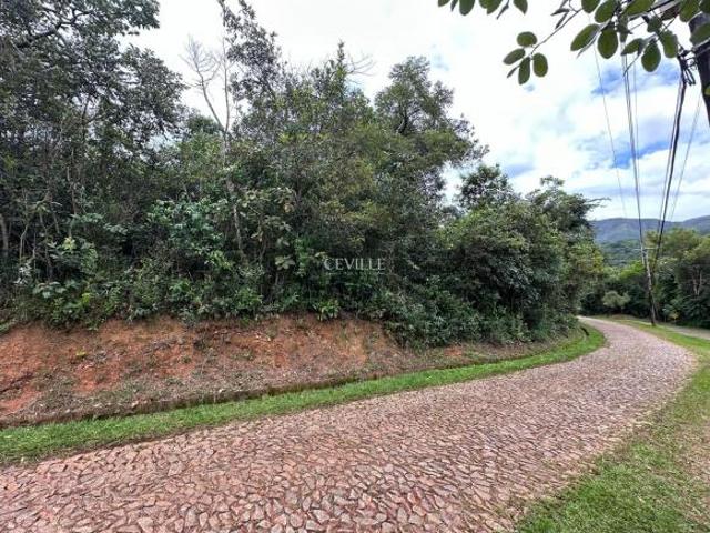 Lote Plano