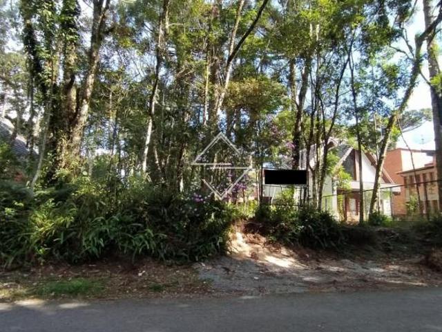 LOTE PRÓXIMO AO LAGO NEGRO