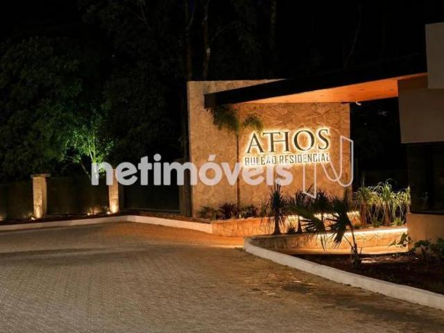 Lote | Quadra 04 | Park Way