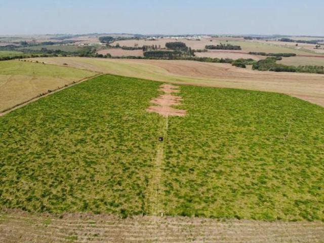 LOTE RURAL A VENDA 20.000M