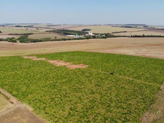 Lote rural a venda 20.000m²