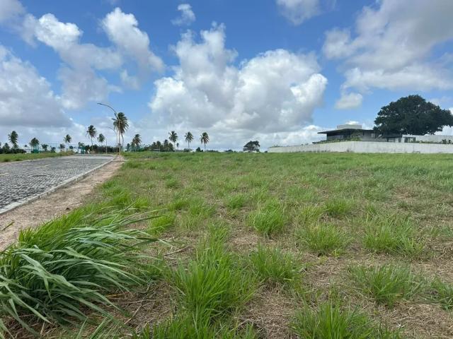 Lote reserva Bom fim