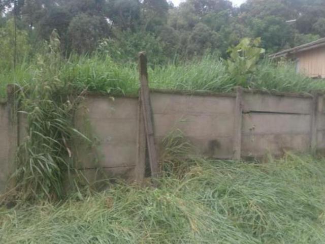 Lote, Residencial, Colônia Dona Luiza
