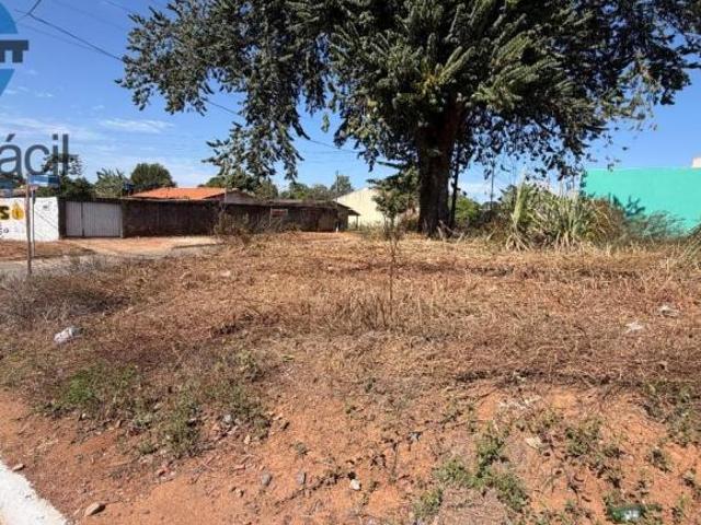 Lote residencial Ibirapuera