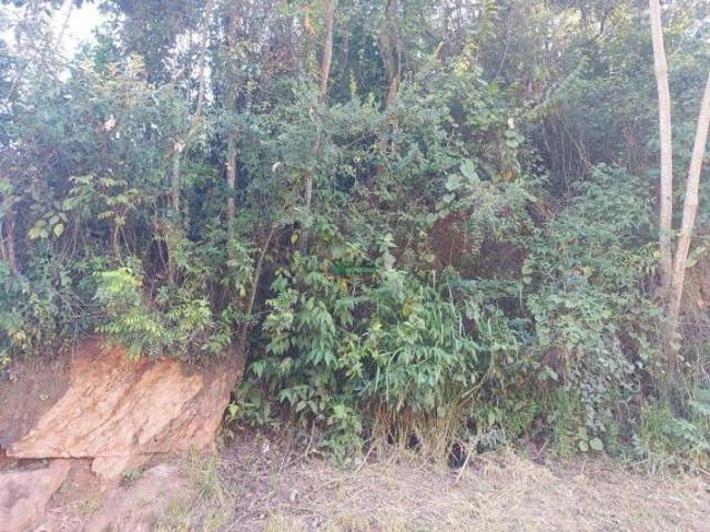 LOTE RESIDENCIAL ROSA EULALIA