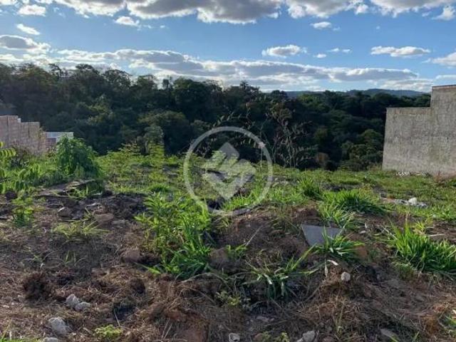 Lote Santa Luzia