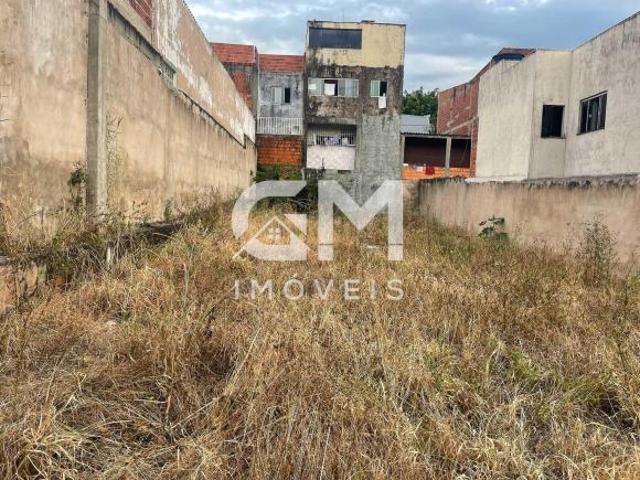 LOTE / SETOR DE MANSOES / SOBRADINHO / 61 3595 1212