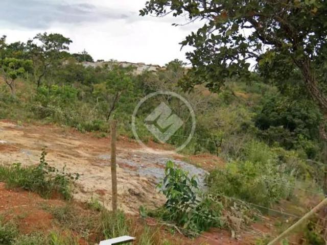 LOTE SHALIMAR