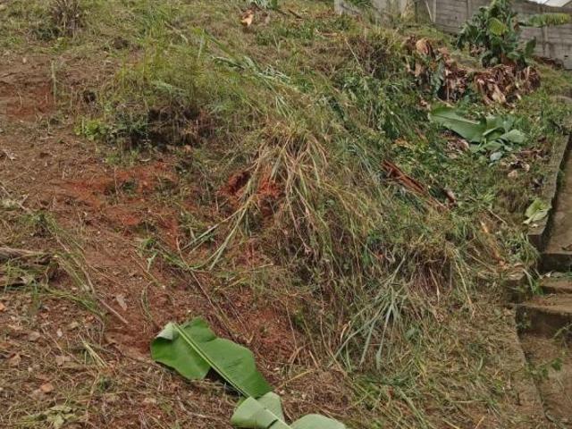 Lote / Terreno com 1 quarto à venda em Belo Horizonte, no bairro Nova Floresta