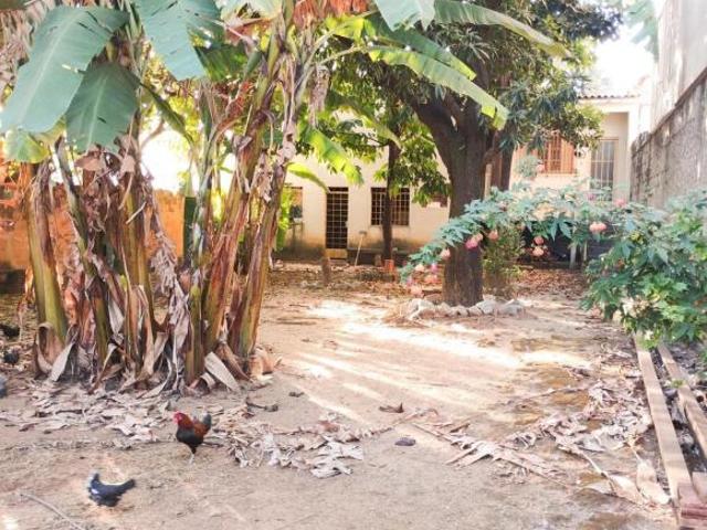 Lote / Terreno com 1 quarto à venda em Belo Horizonte, no bairro Serrano