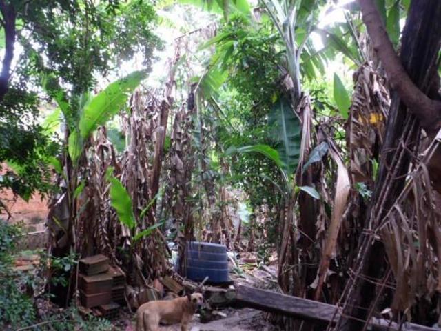 Lote / Terreno com 1 quarto à venda em Belo Horizonte, no bairro Vera Cruz
