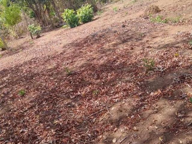 Lote / Terreno com 1 quarto à venda em São Joaquim De Bicas, no bairro Imperador