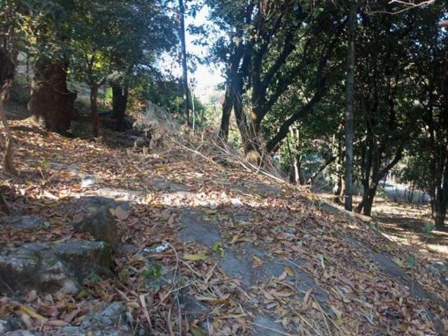 Lote / Terreno com 255 quartos à venda em Santa Luzia, no bairro Centro