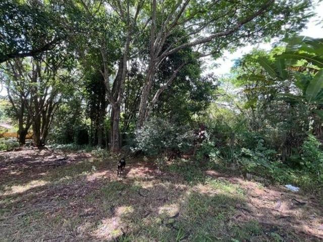 Lote | Terreno com 360 m² no bairro Canaã em Juatuba |