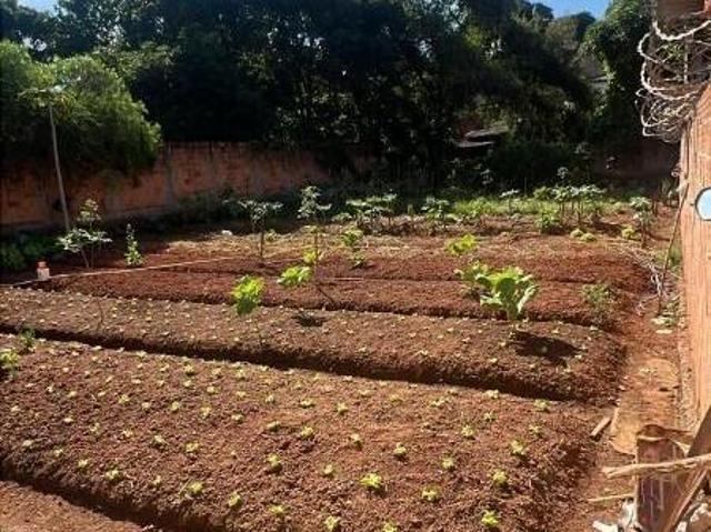 Lote / Terreno à venda em Belo Horizonte, no bairro Braúnas