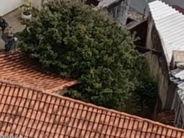 Lote / Terreno à venda em Belo Horizonte, no bairro Grajaú