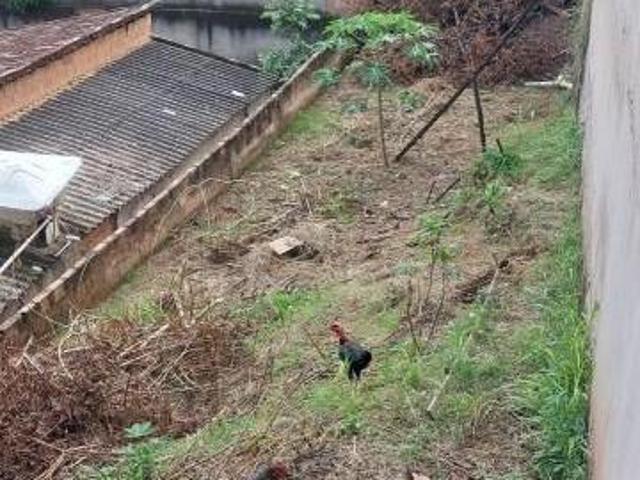 Lote / Terreno à venda em Belo Horizonte, no bairro Floramar