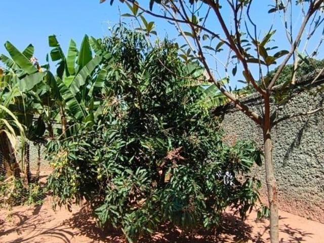 Lote / Terreno à venda em Belo Horizonte, no bairro São Bernardo
