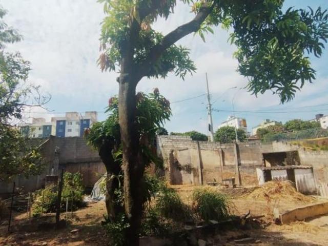 Lote / Terreno à venda em Belo Horizonte, no bairro São João Batista