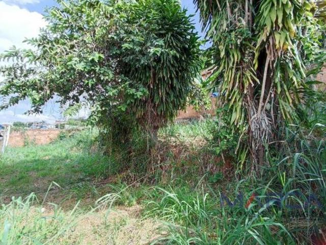 Lote / Terreno à venda em Belo Horizonte, no bairro Santa Cruz