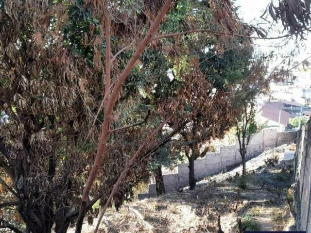 Lote / Terreno à venda em Belo Horizonte, no bairro Serra