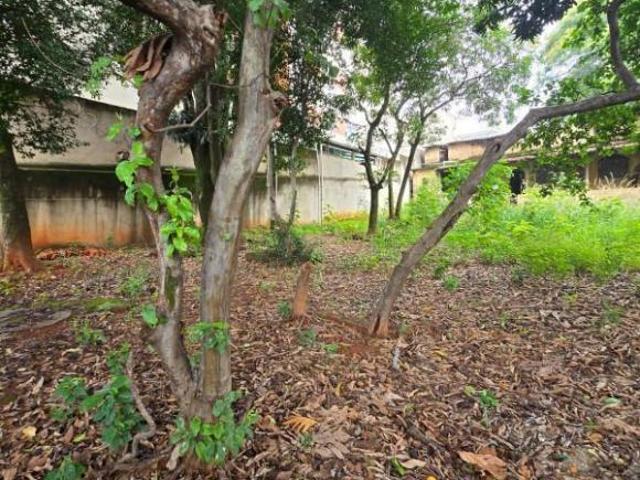 Lote / Terreno à venda em Belo Horizonte, no bairro Serrano