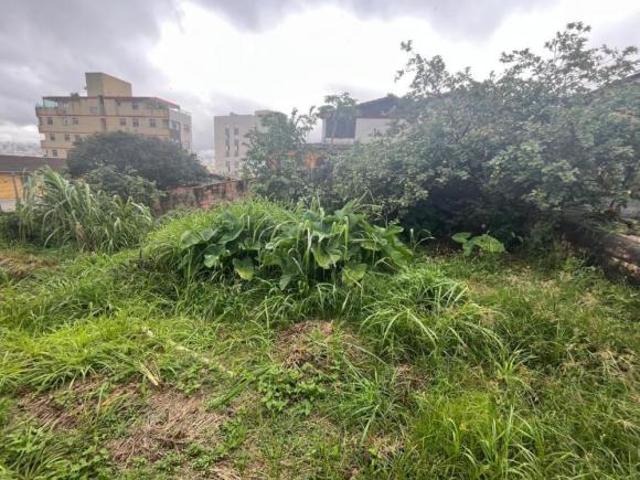 Lote / Terreno à venda em Belo Horizonte, no bairro Padre Eustáquio