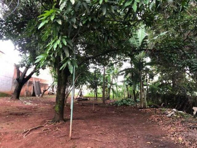 Lote / Terreno à venda em Belo Horizonte, no bairro Trevo