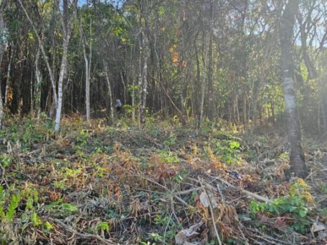 Lote / Terreno à venda em Betim, no bairro Gentileza