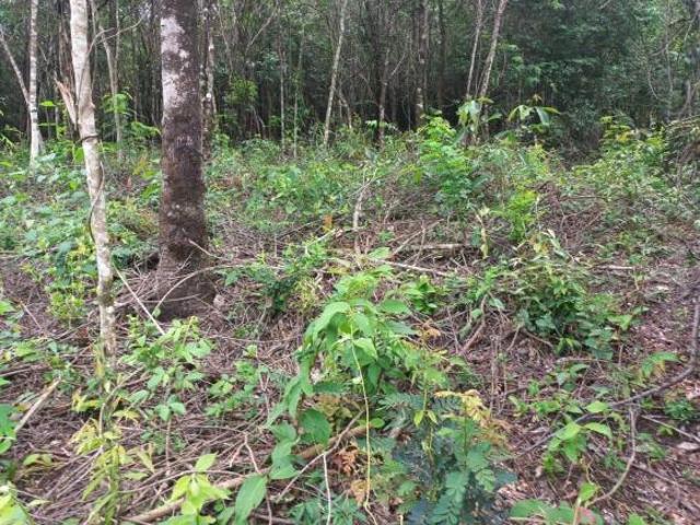 Lote / Terreno à venda em Betim, no bairro Gentileza