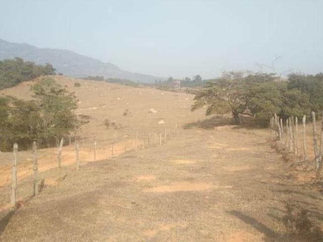 Lote / Terreno à venda em Catas Altas, no bairro Zona Rural
