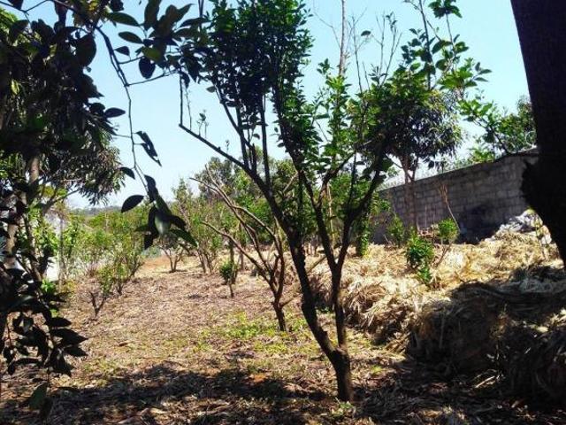 Lote / Terreno à venda em Contagem, no bairro Nossa Senhora Da Conceição