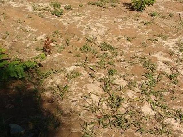 Lote / Terreno à venda em Contagem, no bairro Solar Do Madeira
