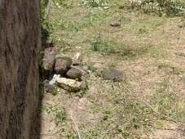 Lote / Terreno à venda em Contagem, no bairro Santa Luzia