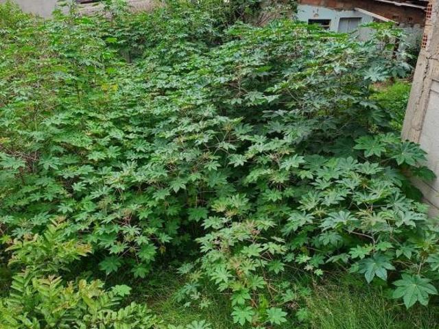 Lote / Terreno à venda em Contagem, no bairro Parque Maracanã