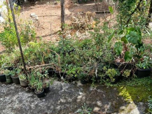 Lote / Terreno à venda em Contagem, no bairro Riacho Das Pedras