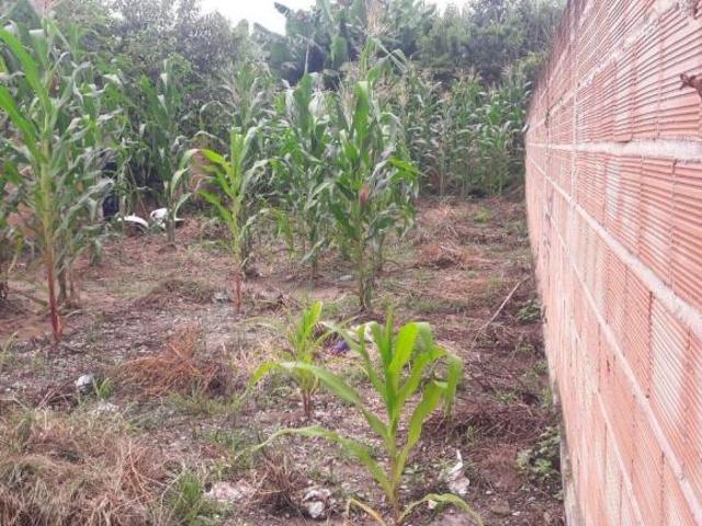 Lote / Terreno à venda em Contagem, no bairro Vila Barroquinha