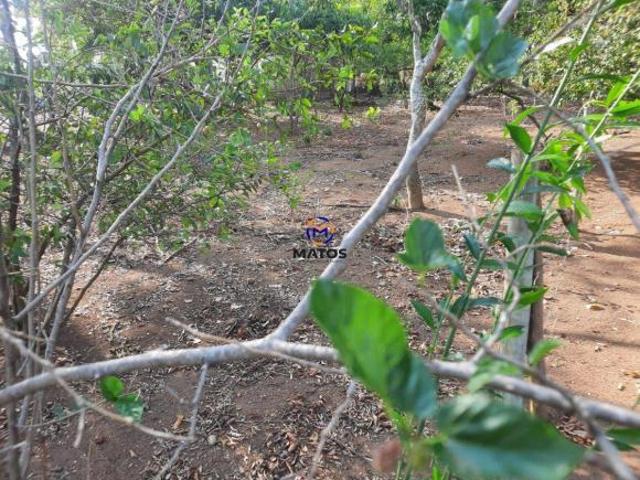 Lote / Terreno à venda em Esmeralda, no bairro Várzea Da Lagoa