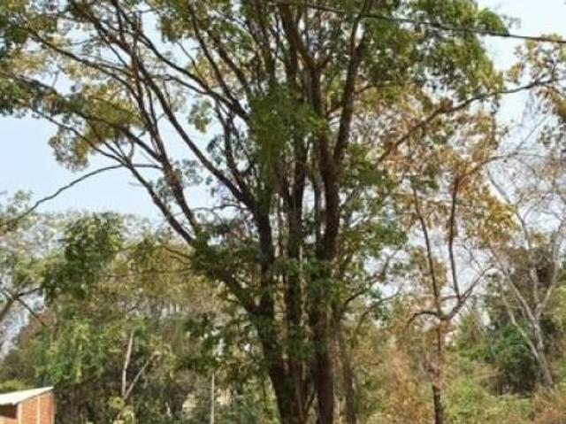 Lote / Terreno à venda em Esmeraldas, no bairro Bosque Do Ipê Clube Dos 200