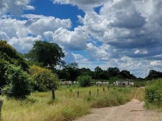 Lote / Terreno à venda em Gameleiras, no bairro Gameleiras