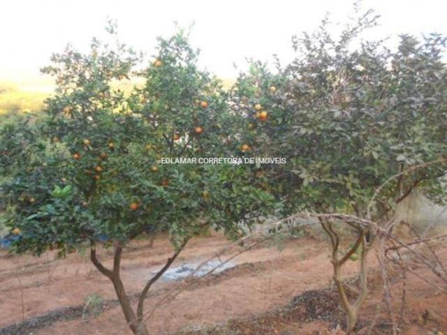 Lote / Terreno à venda em Ibirité, no bairro Bosque De Ibirité