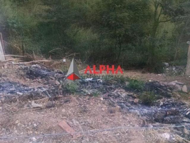 Lote / Terreno à venda em Ibirité, no bairro Palmeiras