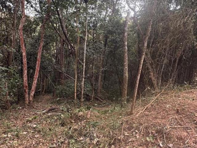 Lote / Terreno à venda em Itabirito, no bairro Acurui