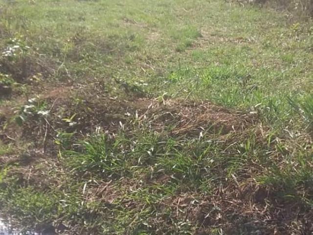 Lote / Terreno à venda em Jaboticatubas, no bairro Almeida