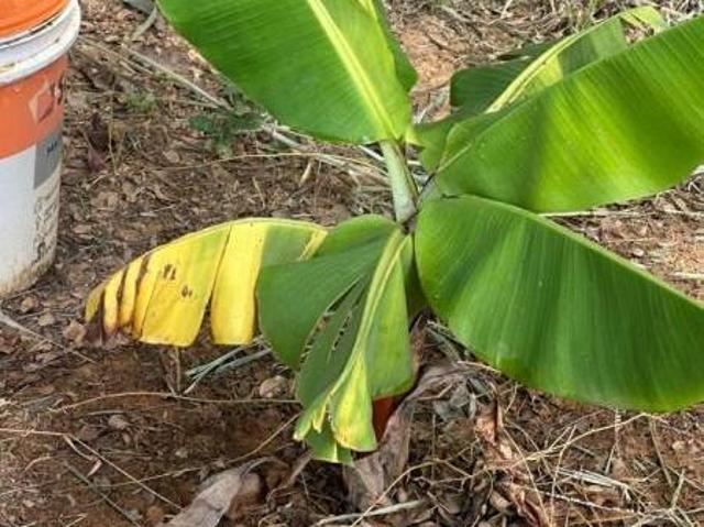 Lote / Terreno à venda em Jaboticatubas, no bairro Boa Vista